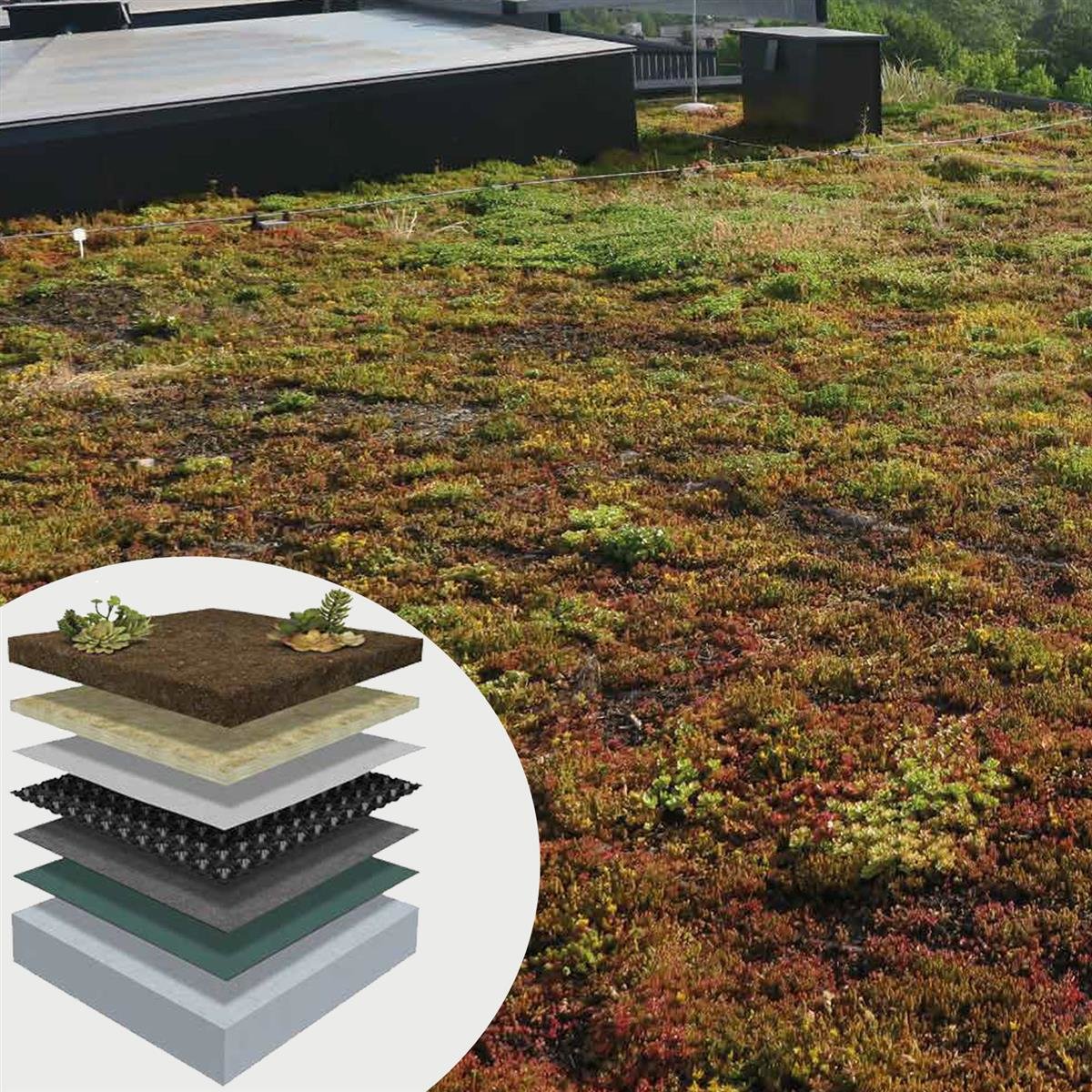 KNAUF Urbanscape Gründach-System GR Standard High 42L, 65,99