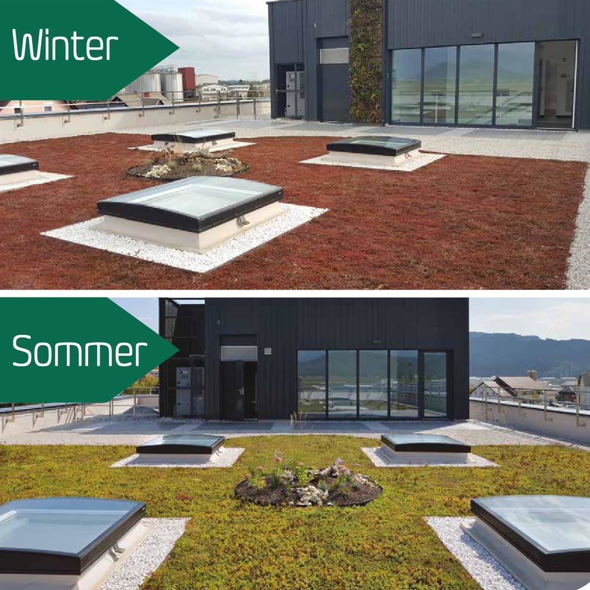 KNAUF Urbanscape Gründach-System GR Green Roof ECO+ 37L, 40,39